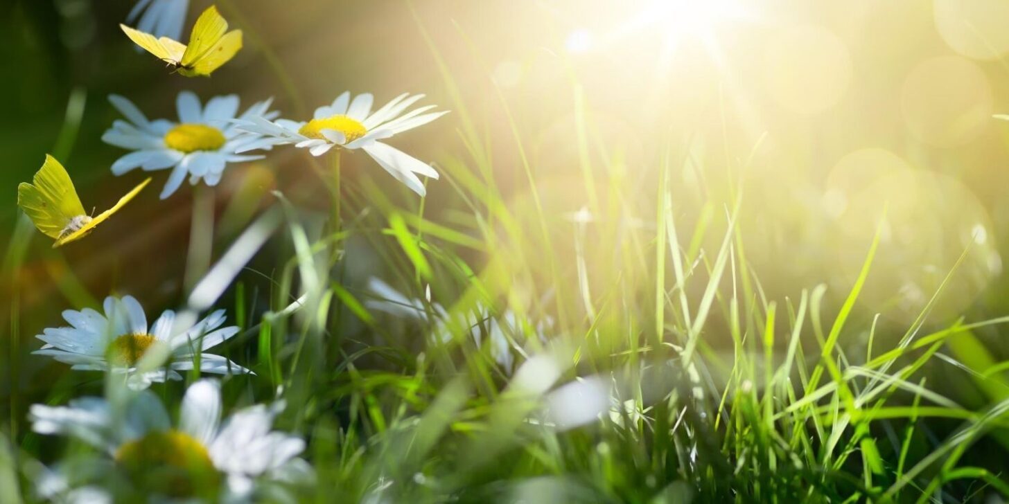 August 21: Facts & Historical Events On This Day - The Fact Site