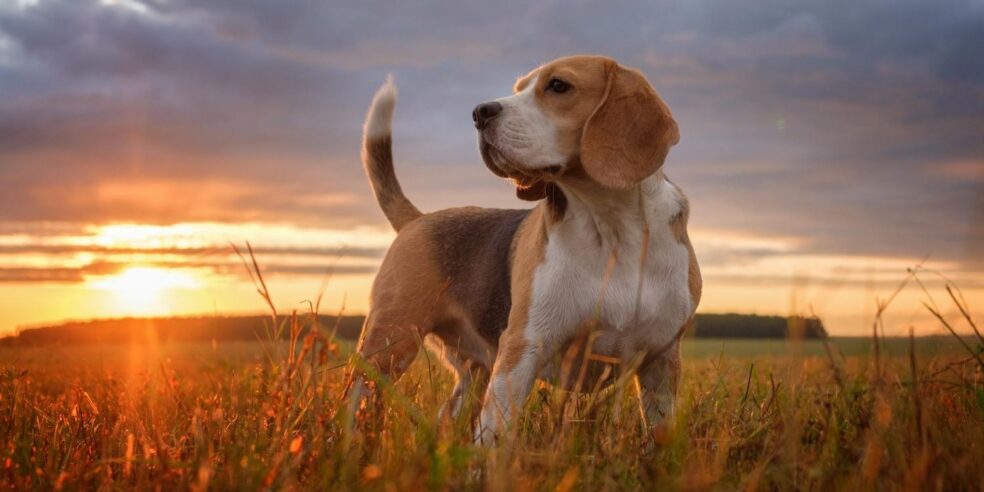 August 22: Facts & Historical Events On This Day - The Fact Site