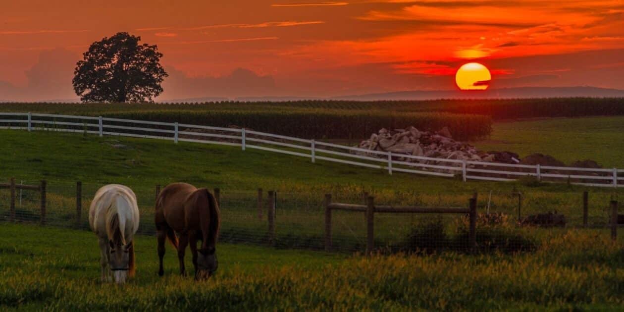 August 25: Facts & Historical Events On This Day - The Fact Site