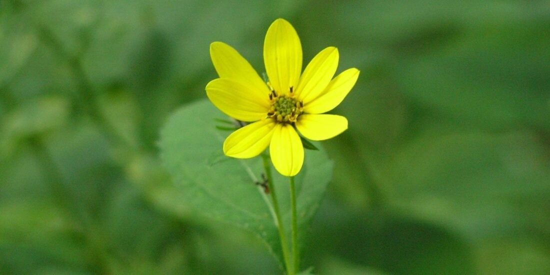 August 29: Facts & Historical Events On This Day - The Fact Site