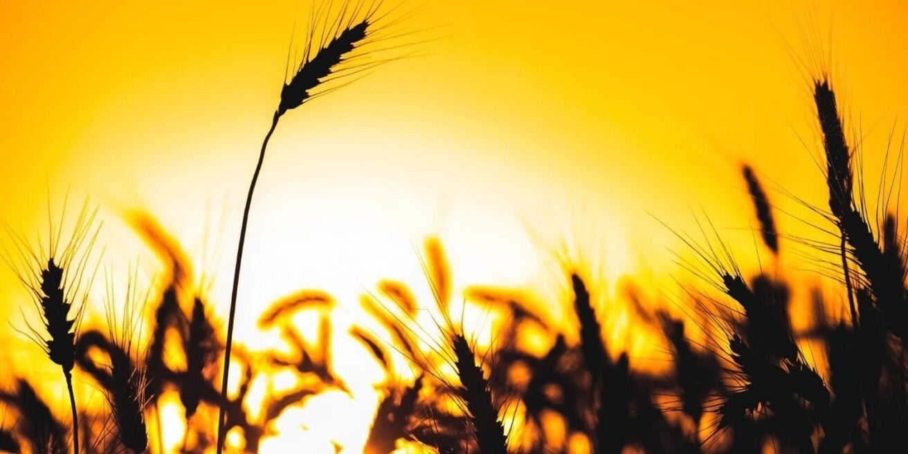 August 3: Facts & Historical Events On This Day - The Fact Site