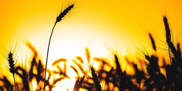 August 3: Facts & Historical Events On This Day - The Fact Site