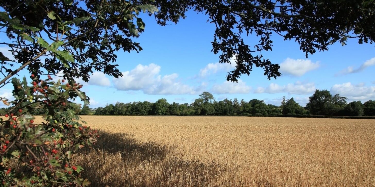 August 30: Facts & Historical Events On This Day - The Fact Site