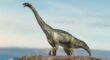 9 Beefy Facts About The Brontosaurus - The Fact Site