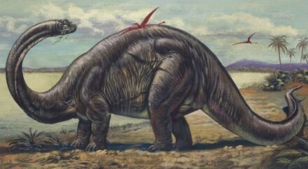 9 Beefy Facts About The Brontosaurus - The Fact Site