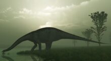 9 Beefy Facts About The Brontosaurus - The Fact Site