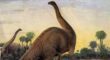9 Beefy Facts About The Brontosaurus - The Fact Site