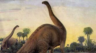 9 Beefy Facts About The Brontosaurus - The Fact Site