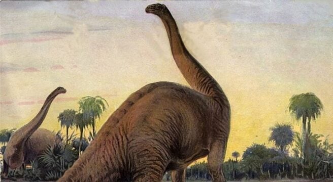 9 Beefy Facts About The Brontosaurus - The Fact Site