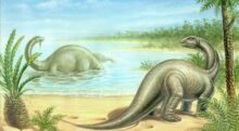 9 Beefy Facts About The Brontosaurus - The Fact Site