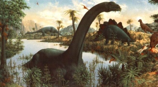 9 Beefy Facts About The Brontosaurus - The Fact Site