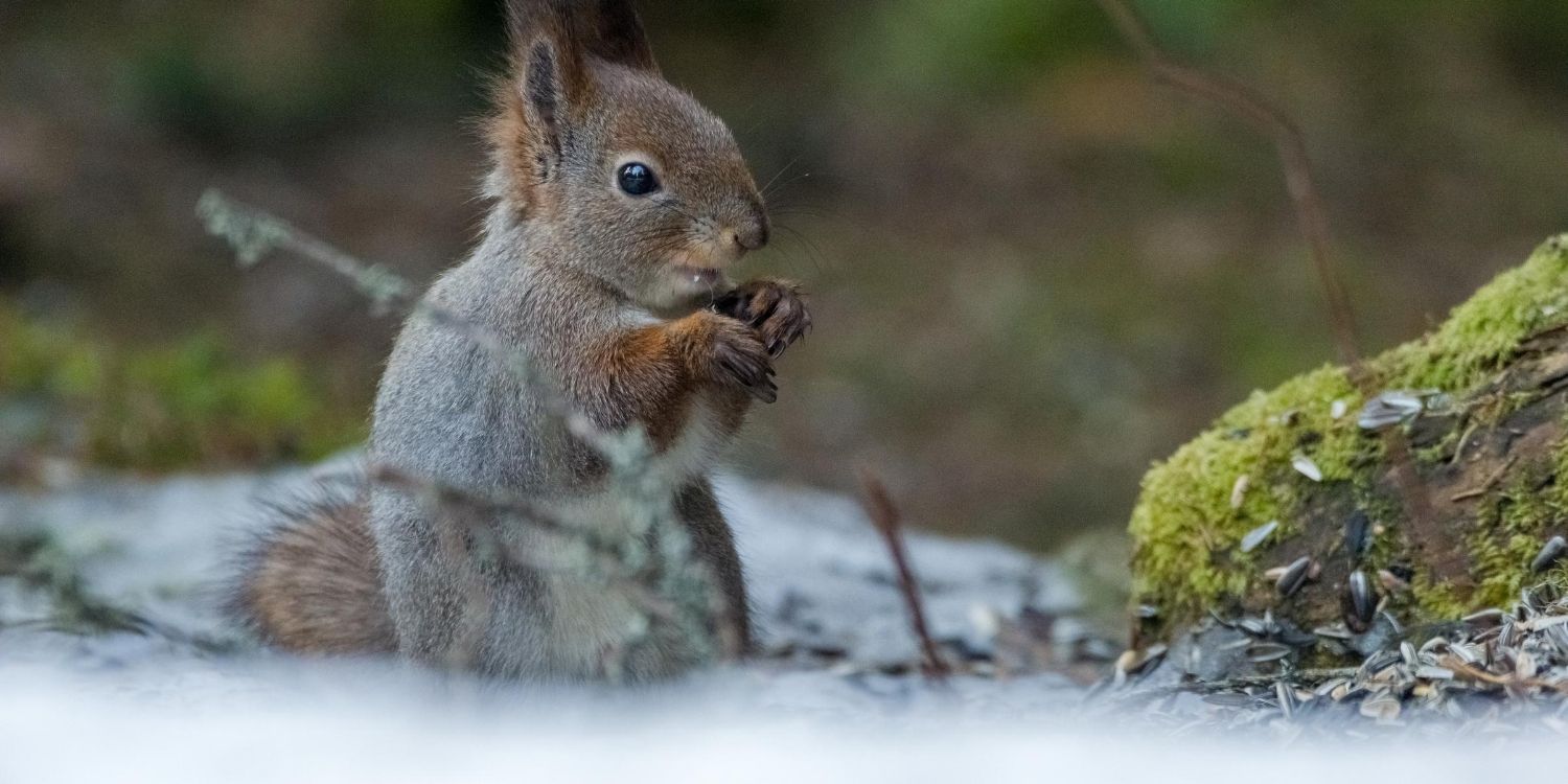 December 10: Facts & Historical Events On This Day - The Fact Site