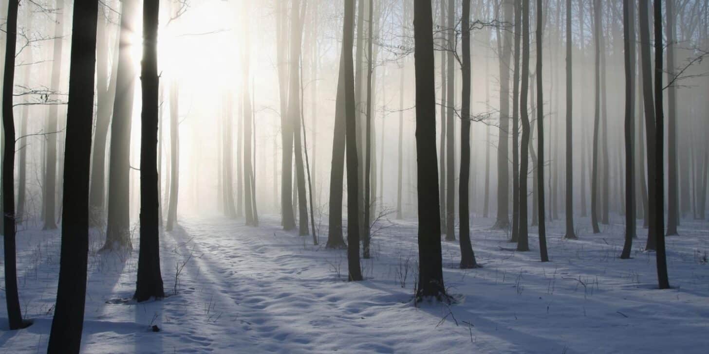 December 16: Facts & Historical Events On This Day - The Fact Site