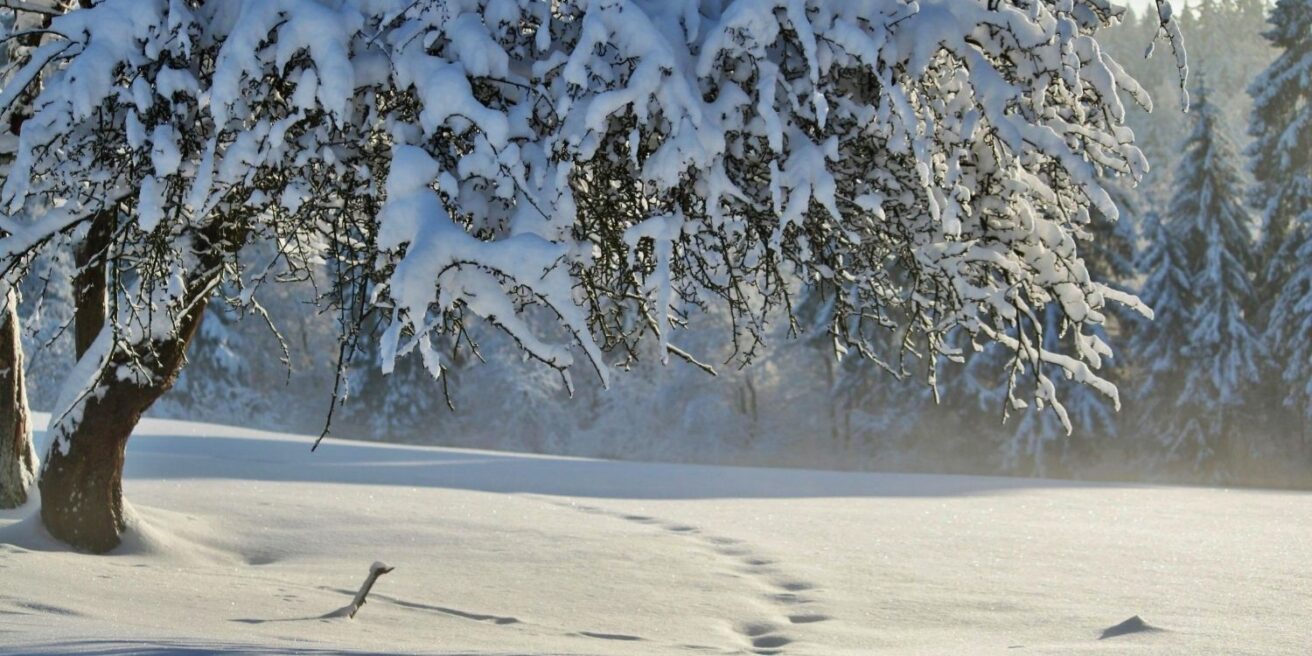 December 17: Facts & Historical Events On This Day - The Fact Site