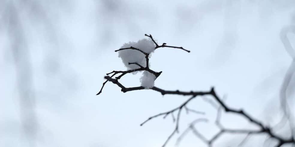 December 20: Facts & Historical Events On This Day - The Fact Site