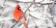 December 21: Facts & Historical Events On This Day - The Fact Site