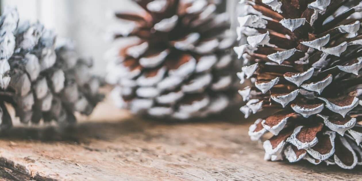 December 23: Facts & Historical Events On This Day - The Fact Site