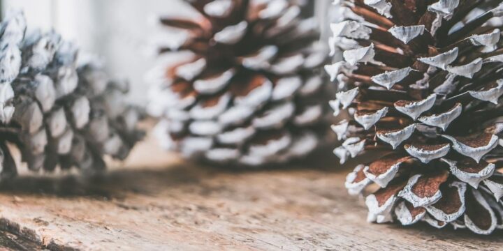 December 23: Facts & Historical Events On This Day - The Fact Site