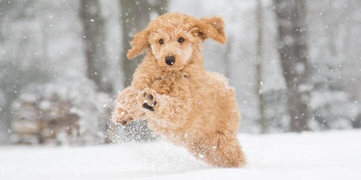 December 28: Facts & Historical Events On This Day - The Fact Site