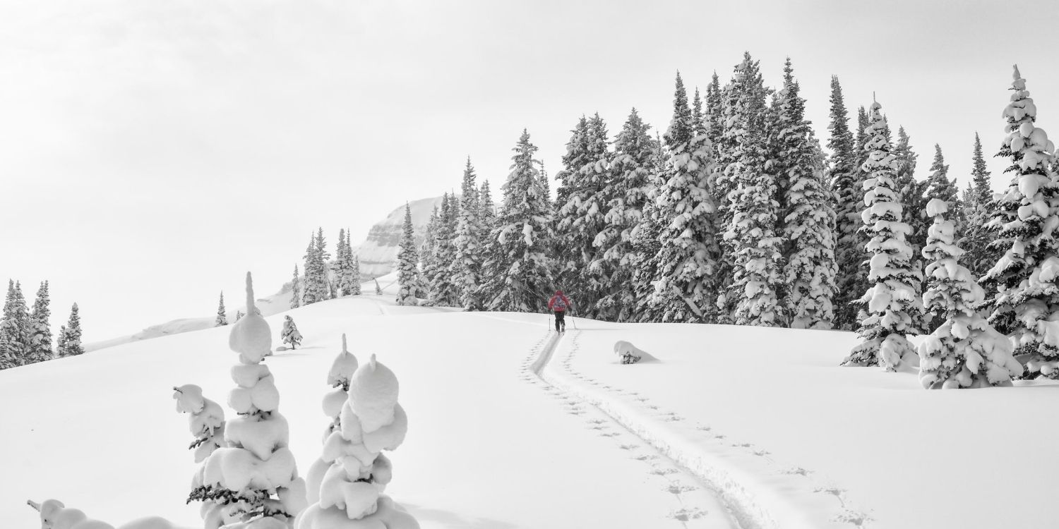 December 29: Facts & Historical Events On This Day - The Fact Site