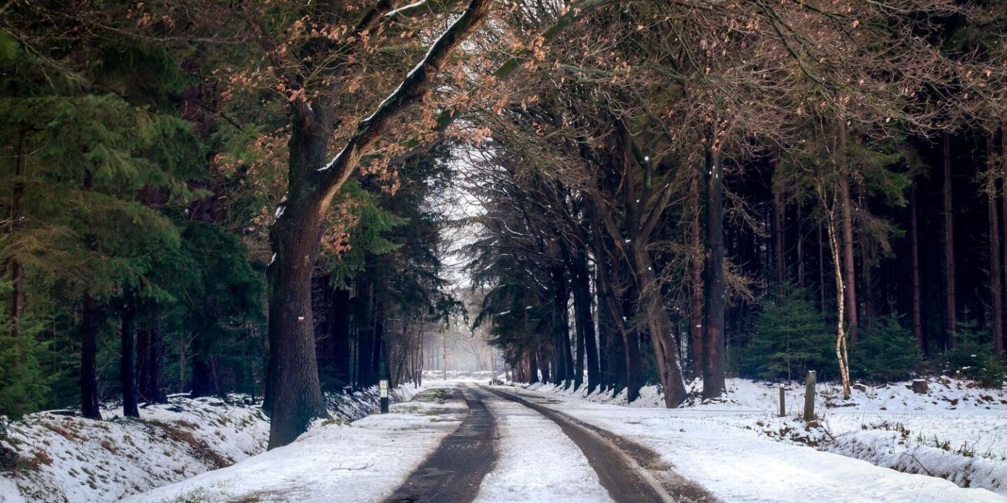 December 6: Facts & Historical Events On This Day - The Fact Site