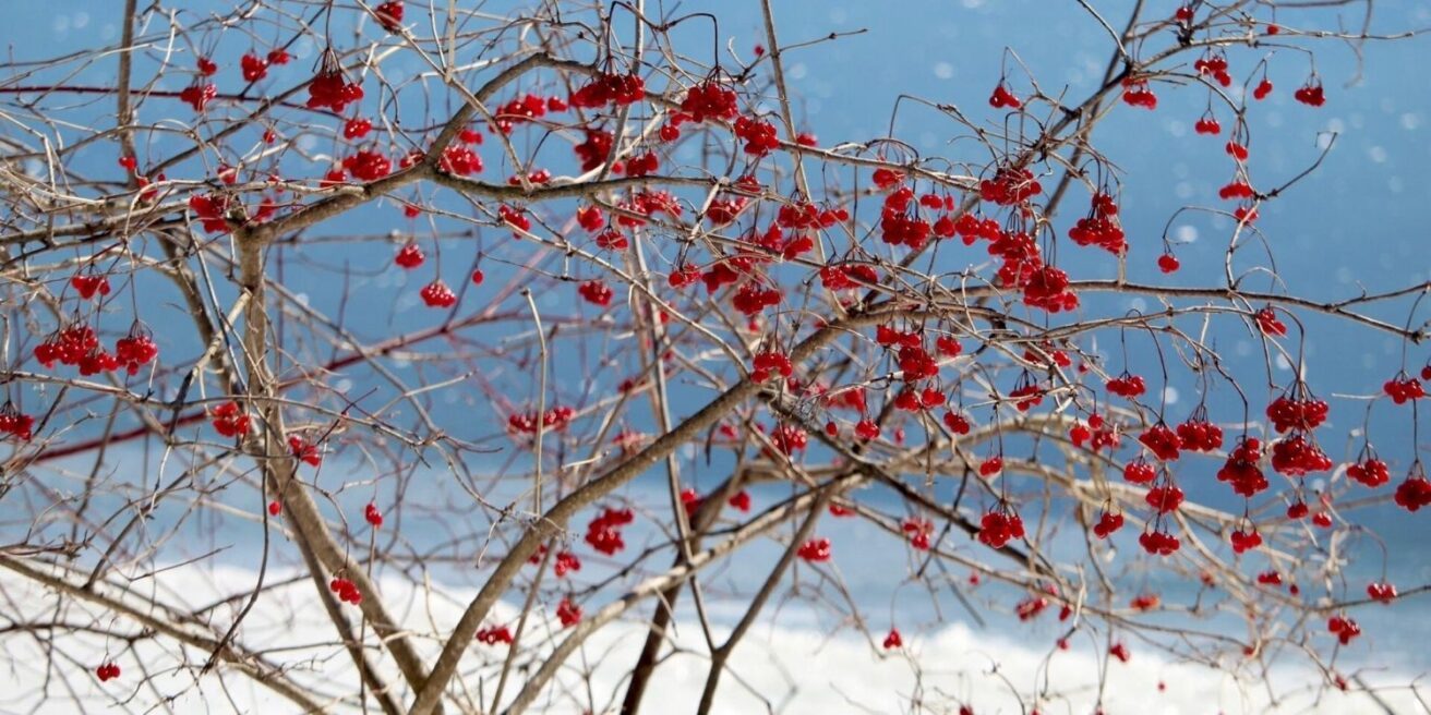 December 9: Facts & Historical Events On This Day - The Fact Site