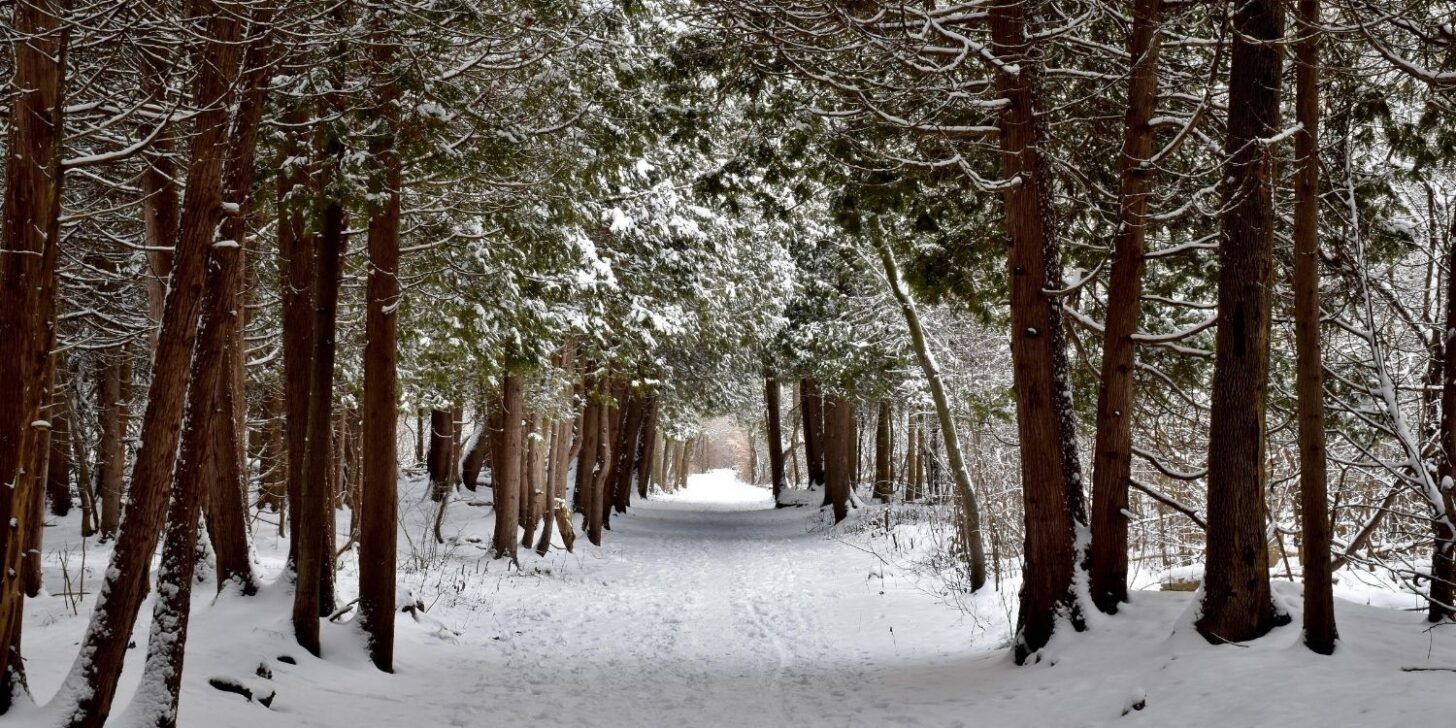 February 10: Facts & Historical Events On This Day - The Fact Site