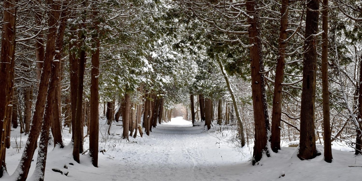 February 10: Facts & Historical Events On This Day - The Fact Site