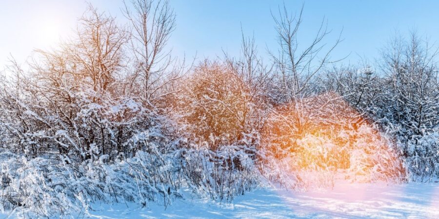 February 12: Facts & Historical Events On This Day - The Fact Site