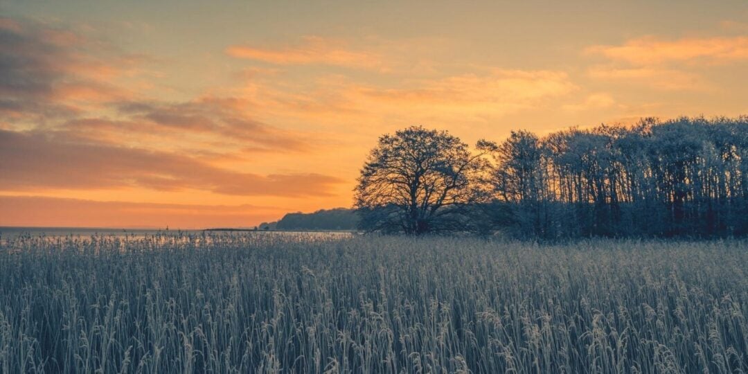 February 2: Facts & Historical Events On This Day - The Fact Site