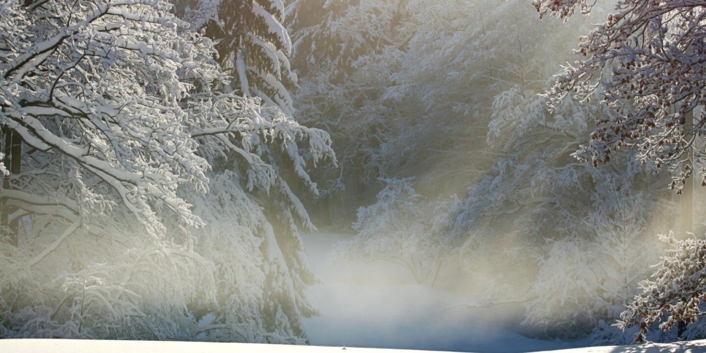 February 21: Facts & Historical Events On This Day - The Fact Site