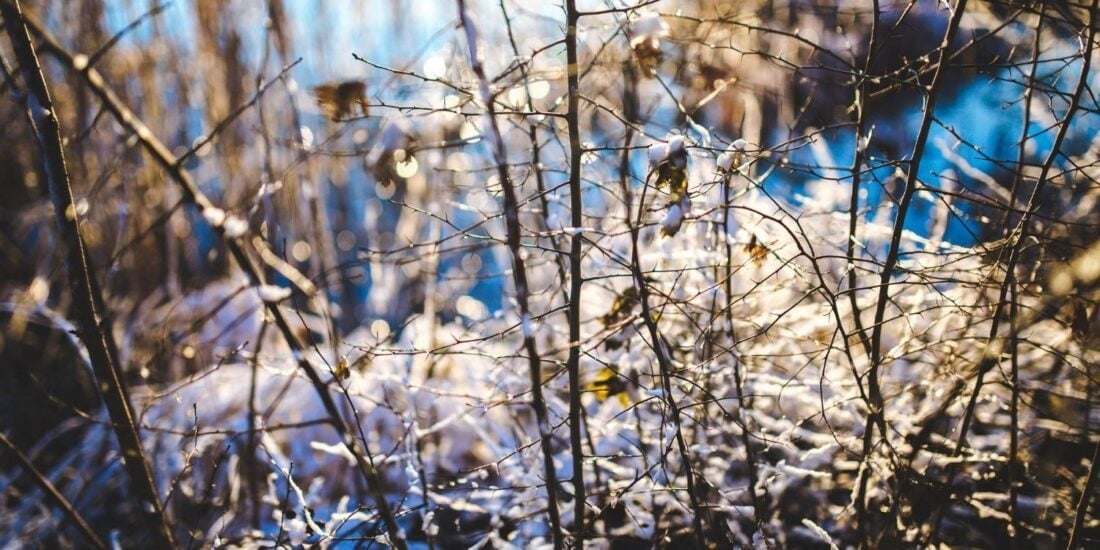 February 22: Facts & Historical Events On This Day - The Fact Site