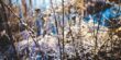 February 22: Facts & Historical Events On This Day - The Fact Site