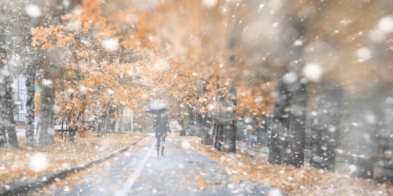 15 Cool Facts About Candy Canes - The Fact Site