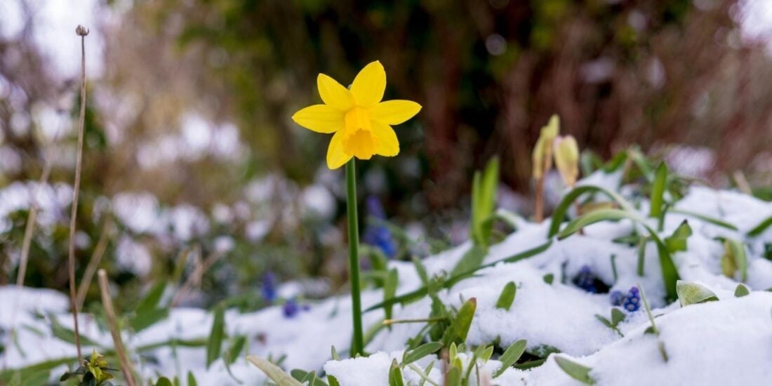 February 28: Facts & Historical Events On This Day - The Fact Site