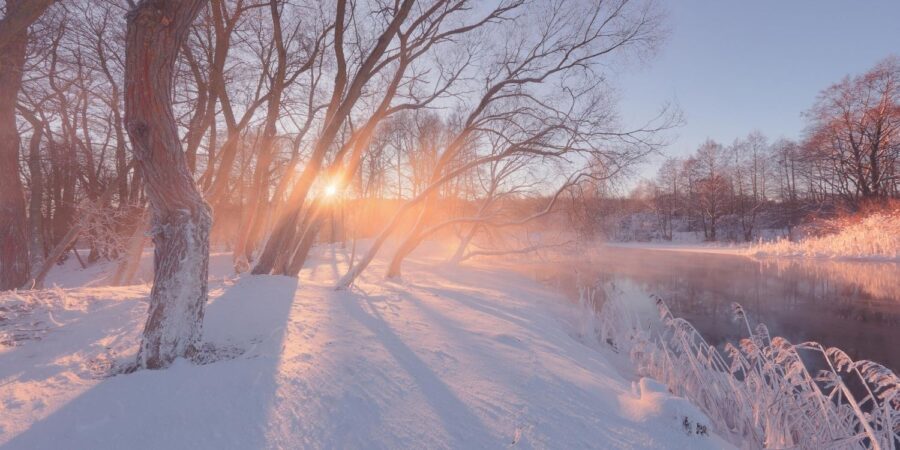 February 4: Facts & Historical Events On This Day - The Fact Site