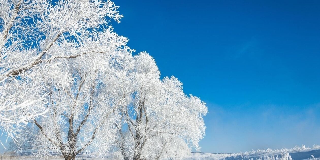 February 5: Facts & Historical Events On This Day - The Fact Site