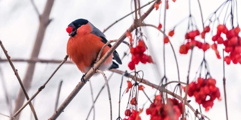 February 9: Facts & Historical Events On This Day - The Fact Site