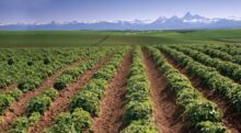 15 Interesting Facts About Idaho - The Fact Site