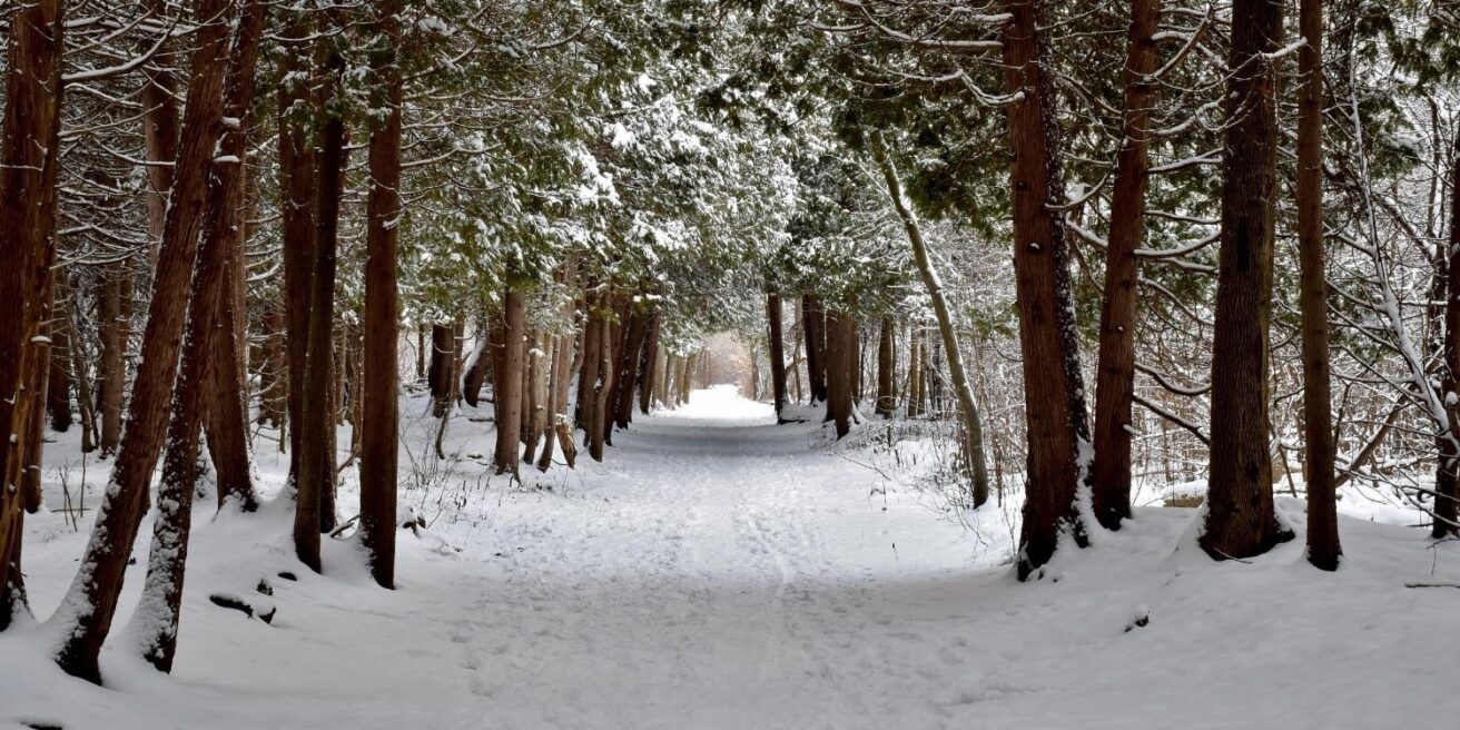 January 11: Facts & Historical Events On This Day - The Fact Site