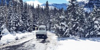 20 Facts About Red Robin's You'll Flock To! - The Fact Site