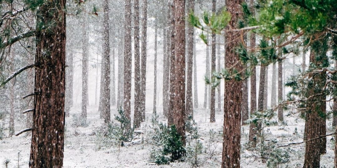 January 2: Facts & Historical Events On This Day - The Fact Site