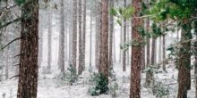January 2: Facts & Historical Events On This Day - The Fact Site
