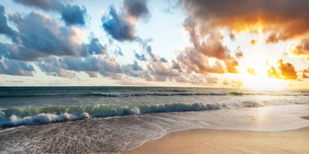 15 Cool Facts About Candy Canes - The Fact Site