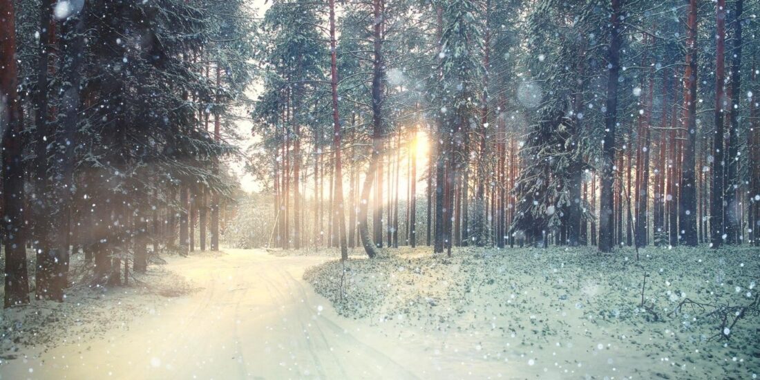 January 3: Facts & Historical Events On This Day - The Fact Site