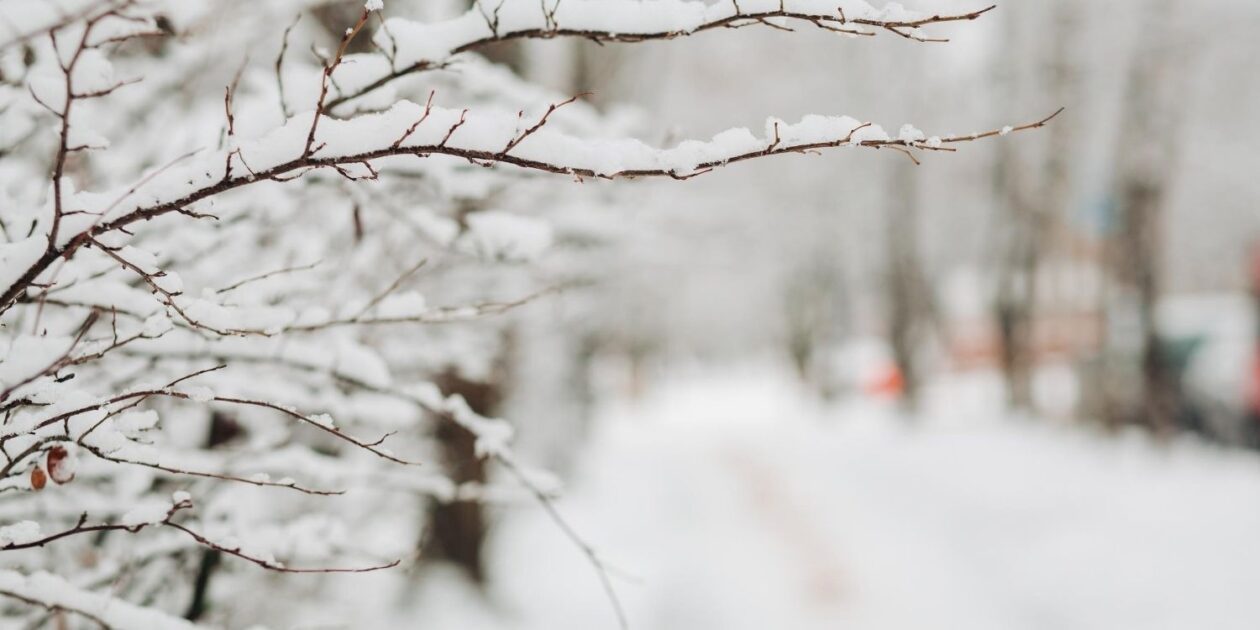 January 4: Facts & Historical Events On This Day - The Fact Site