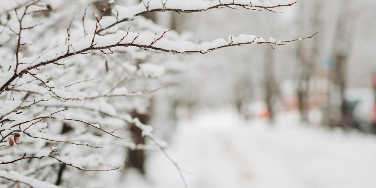 January 4: Facts & Historical Events On This Day - The Fact Site