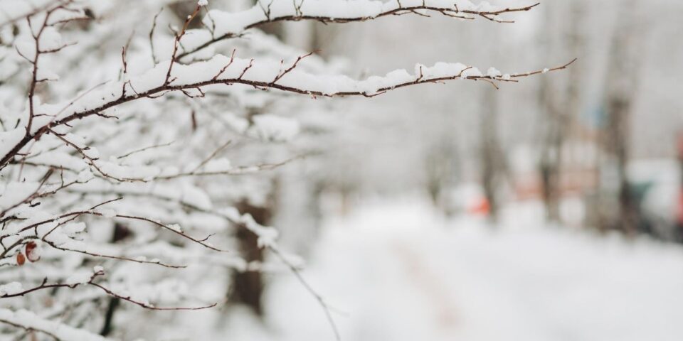 January 4: Facts & Historical Events On This Day - The Fact Site