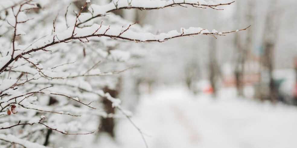 January 4: Facts & Historical Events On This Day - The Fact Site