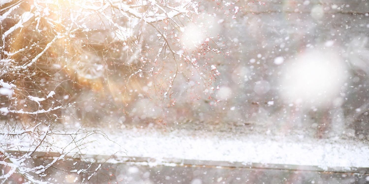 January 5: Facts & Historical Events On This Day - The Fact Site